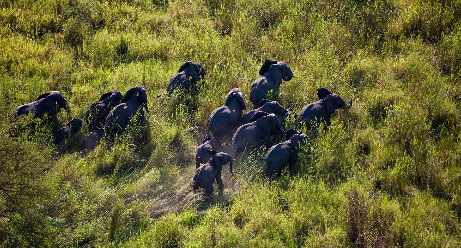 Gambella - Origins Safaris